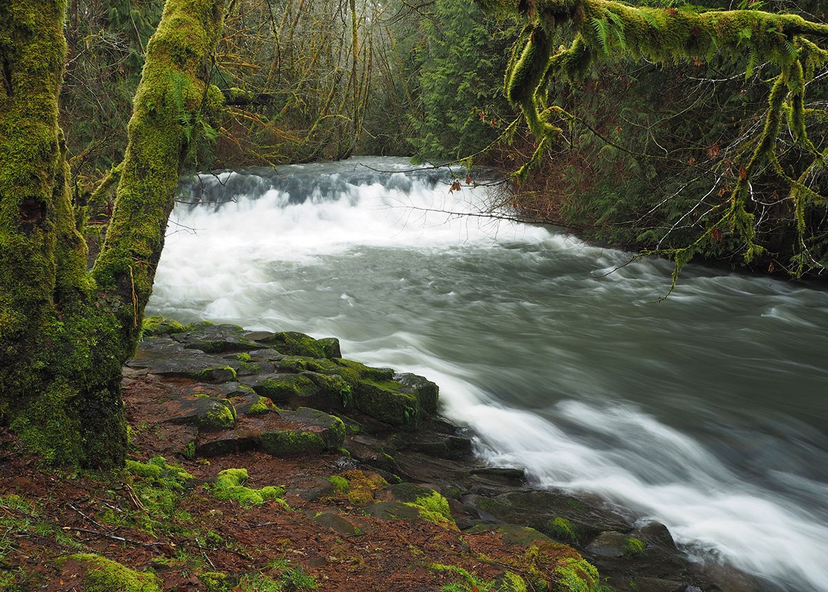 Soggy Sunday at Beaver Falls (Feb 19) - Oregon Hikers
