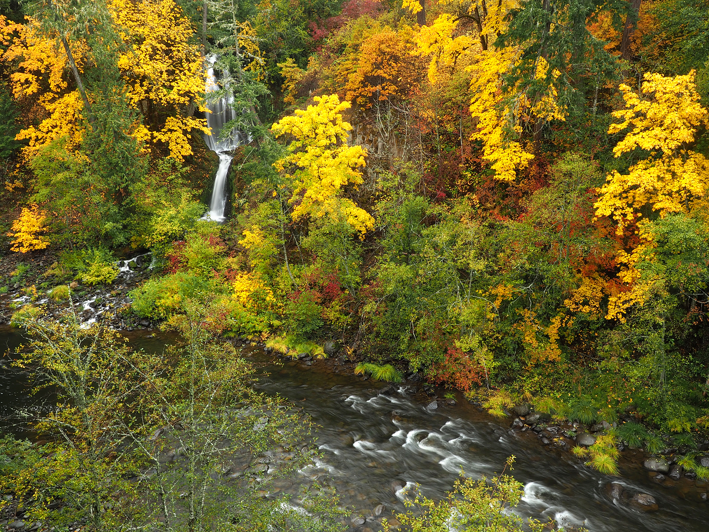 Punchbowl Falls Park Fall Colors (Oct 23) - Oregon Hikers