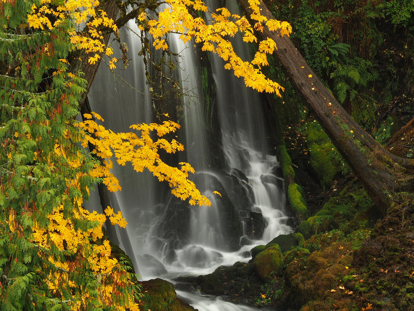 Punchbowl Falls Park Fall Colors (Oct 23) - Oregon Hikers