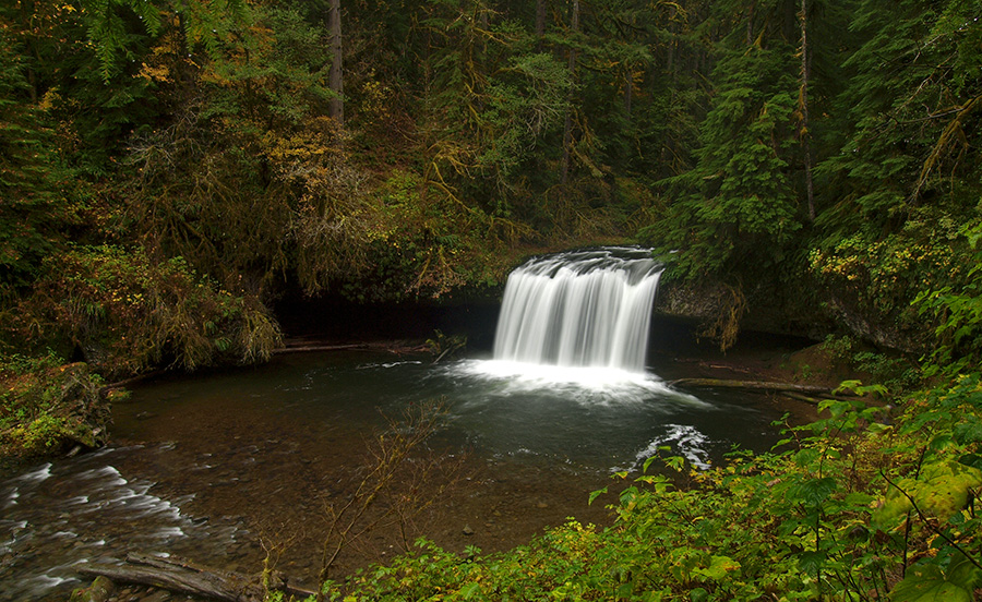 Drizzly afternoon at Butte Creek (Nov 2) - Oregon Hikers
