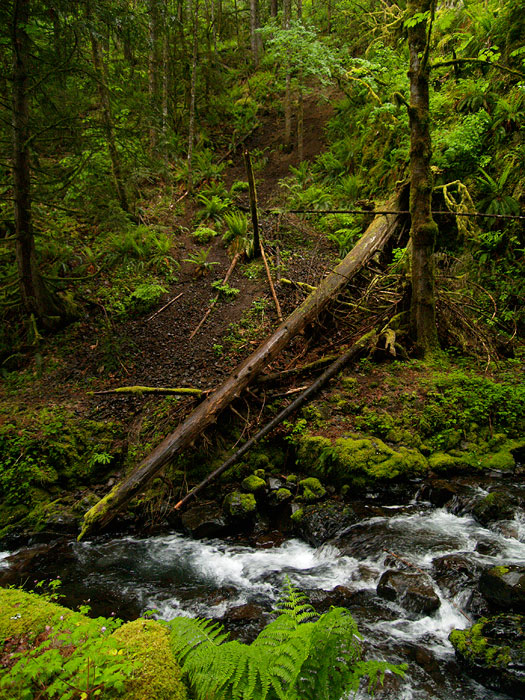 Gorton Creek Falls inaccessible--huge mudslide in the area - Oregon Hikers