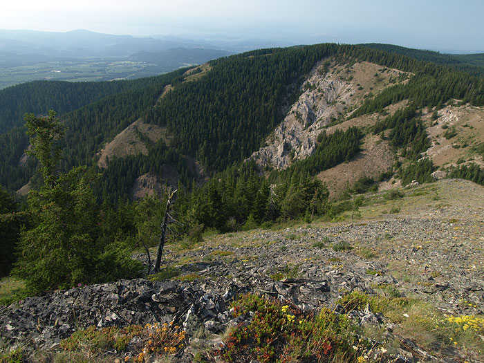 Bushwhacking the "other" Shellrock Mountain - Oregon Hikers
