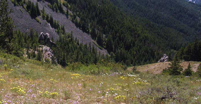 Bushwhacking the "other" Shellrock Mountain - Page 2 - Oregon Hikers